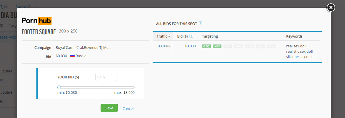 Traffic Junky: Review + Tutorial (2021) - CrakRevenue